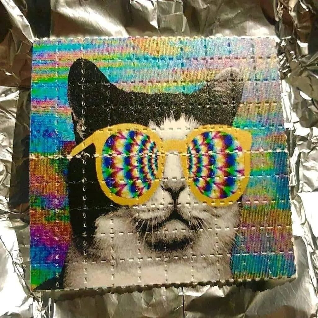 LSD SHEETS » Neptune LA